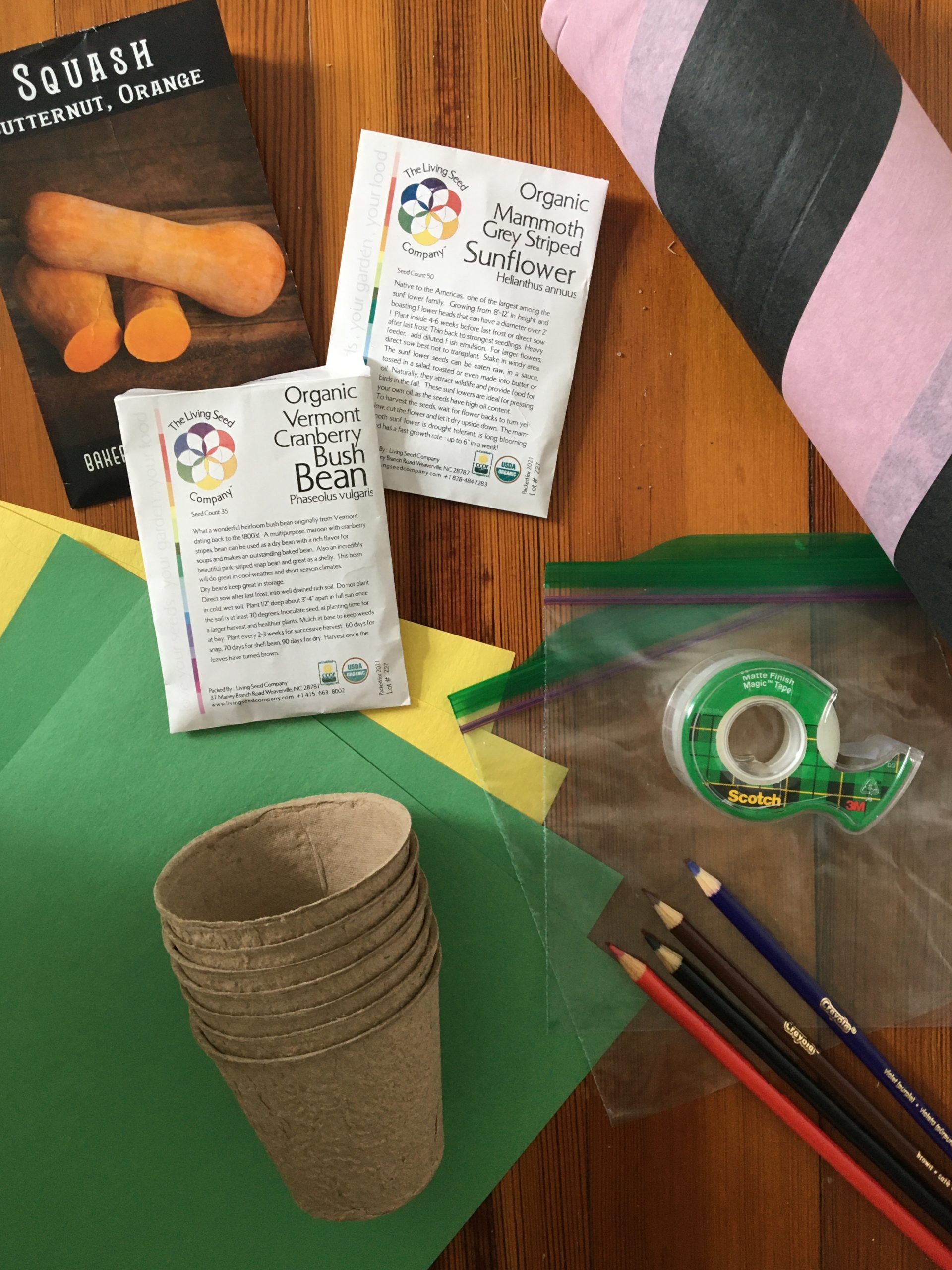 Save The Plants - Providence Children's Museum